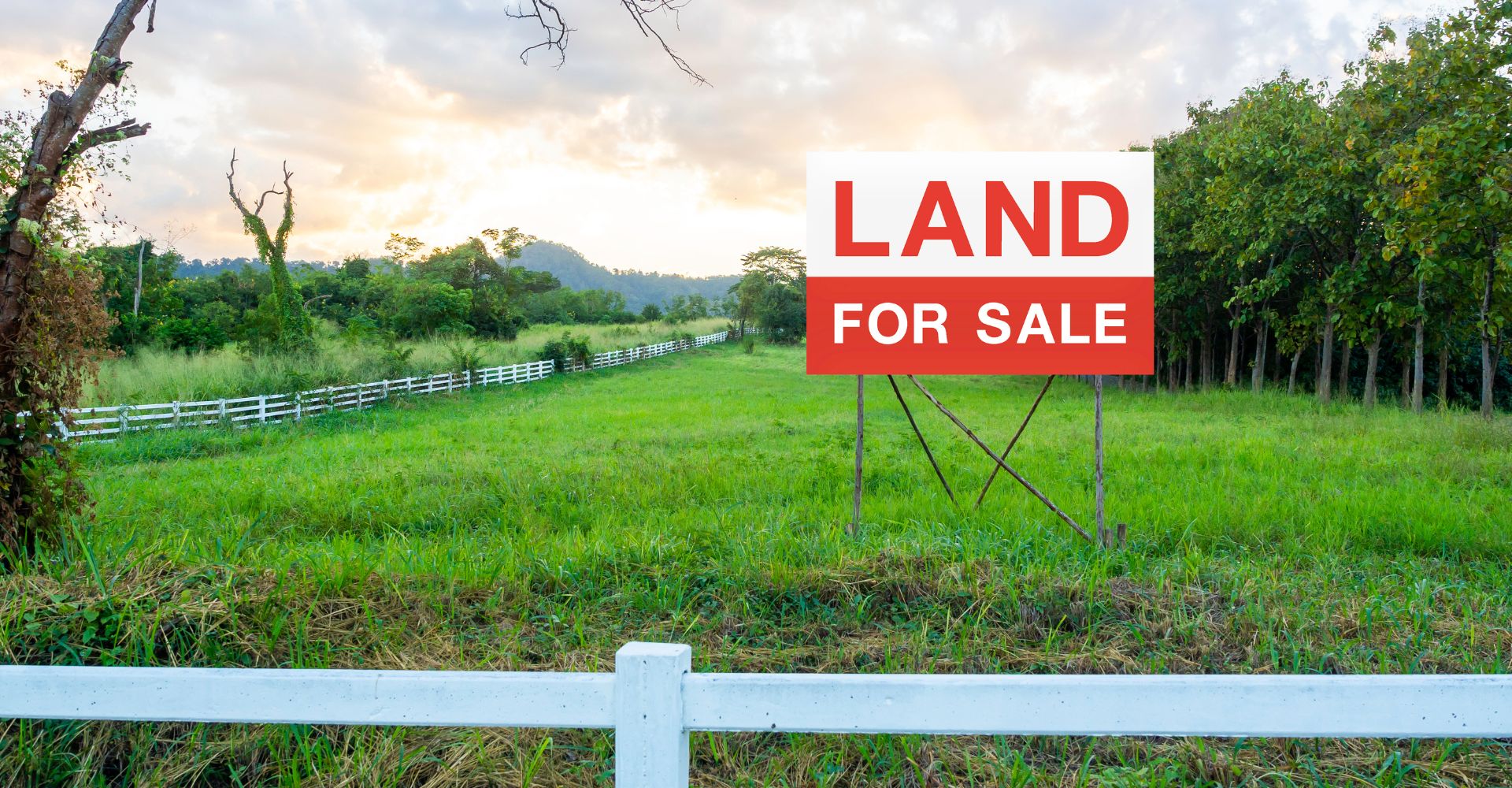 The Pros and Cons of Buying Land - Read Now