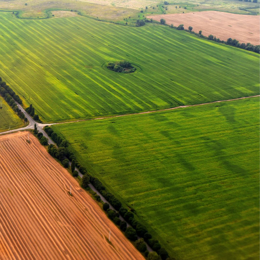 Land Investment vs. Property Purchase — Learn More With AGT